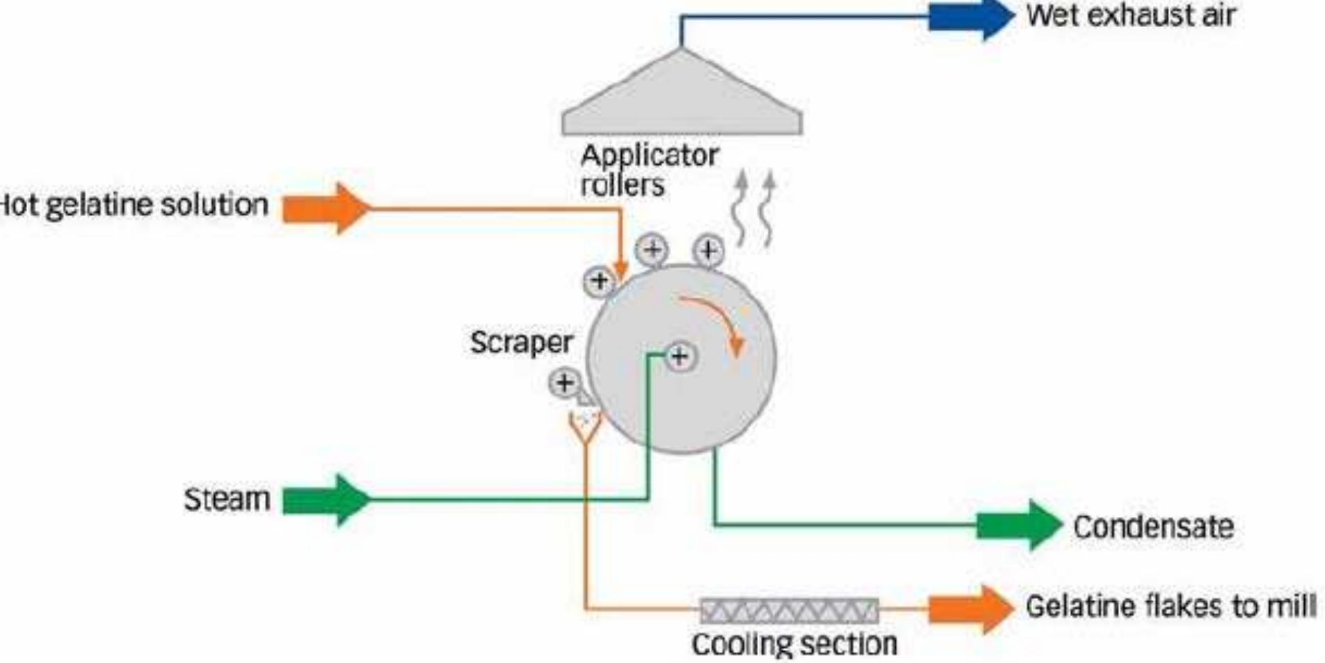 Schematic 2. drum drying process for the manufacturing of