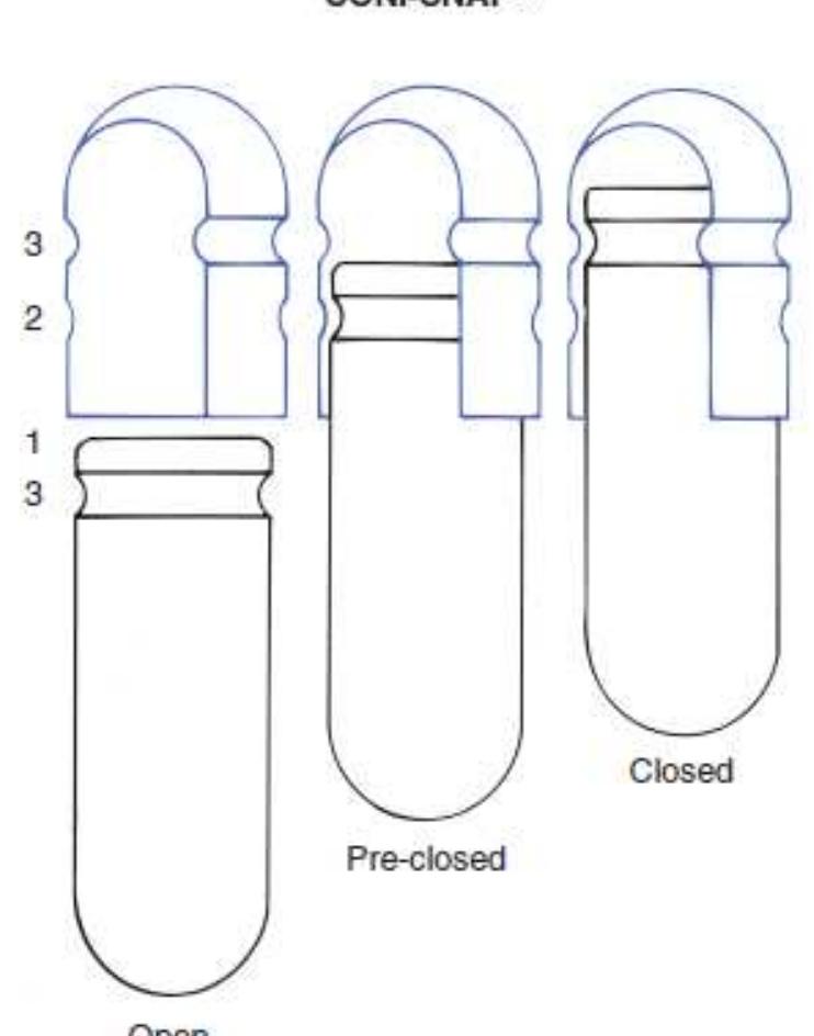 (PDF) Industrial Gelatin Manufacture-Theory and Practice