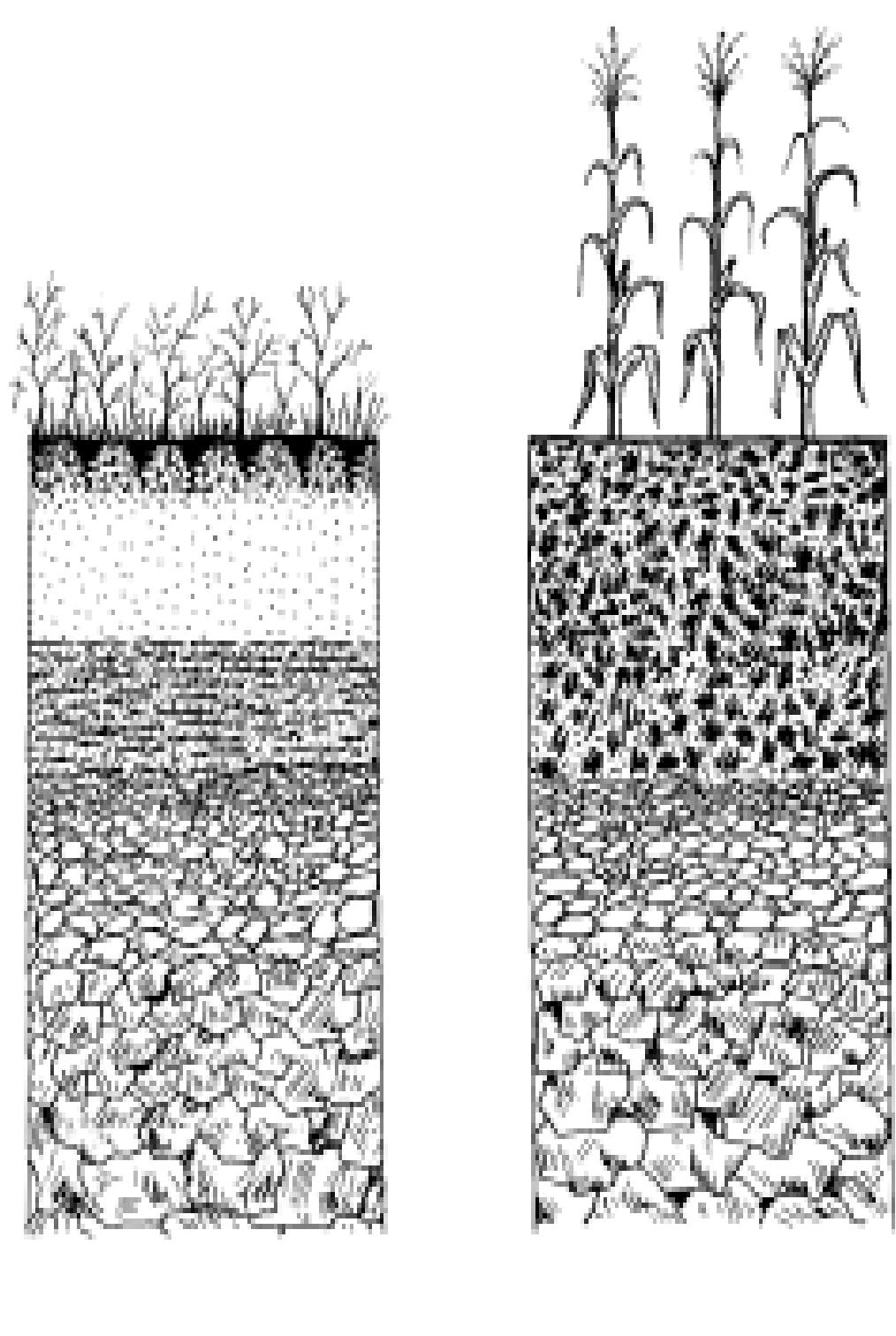 Figure 1 - Soil Test Handbook Soil Science and Management