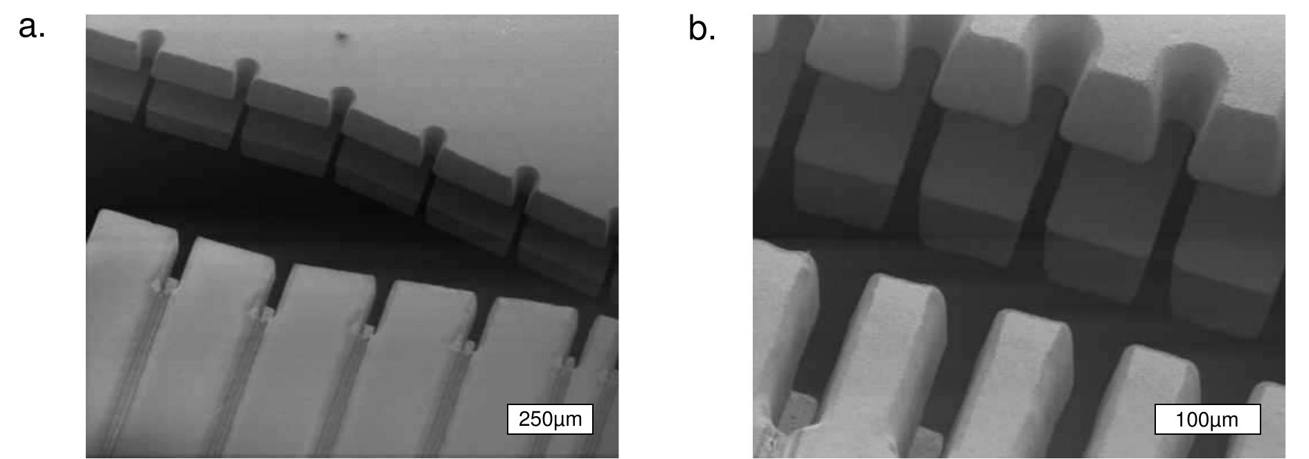 Electron microscope picture of the loading region (a) and