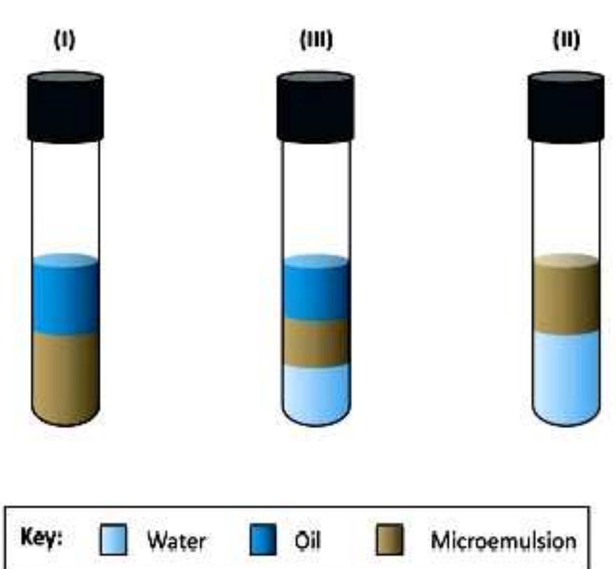 Winsor classification of microemulsion.