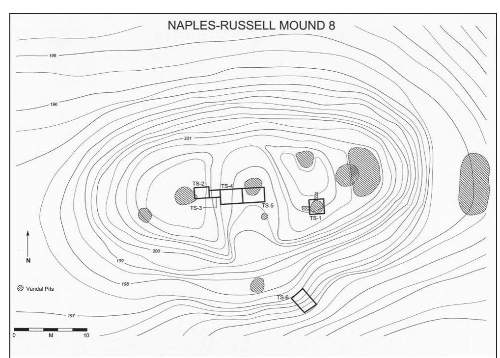 Topographic map of naples-russell mound #8, showing the