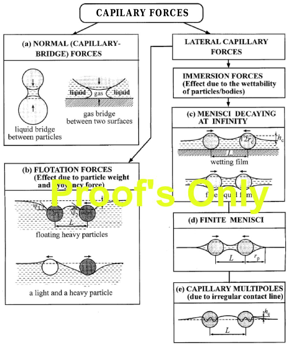 Types of capillary forces: (a) the normal capillary forces