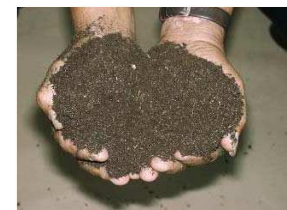 Gure 5. windrow turing machine (backhus kompomat 1.27, year