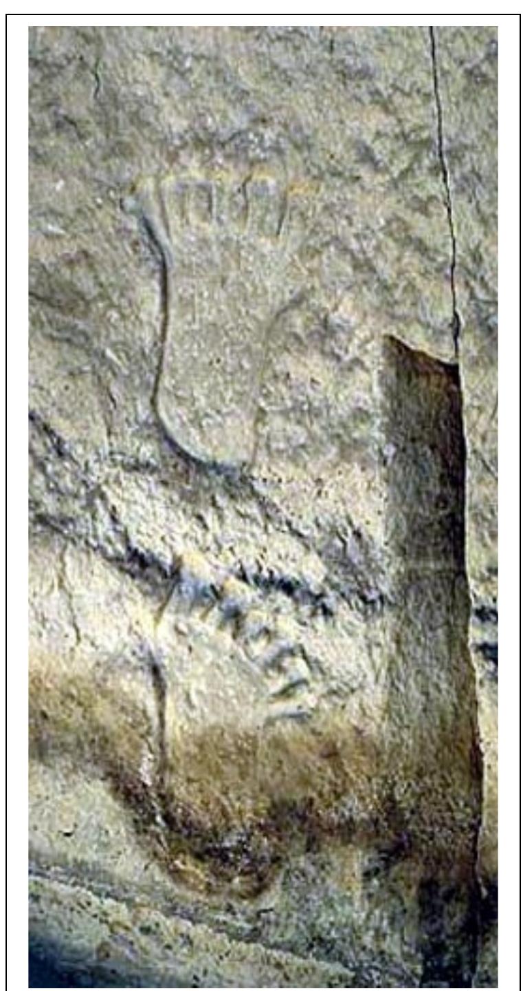 Petroglyphs of six-toed footprints on the cliff behind