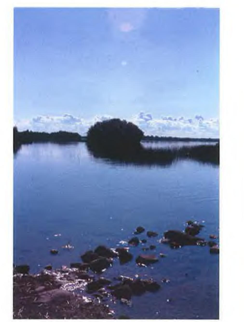 38 photograph of the ‘distant’ early medieval goose island,