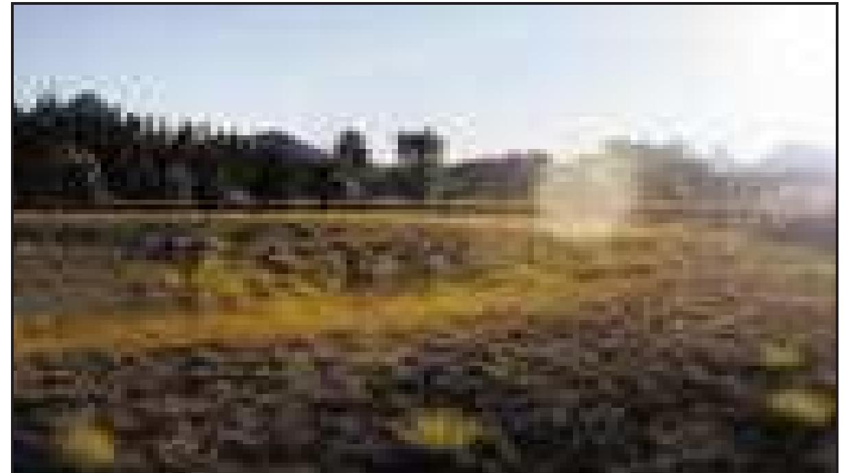 Glasshouse mountains bora ground. this is a particularly