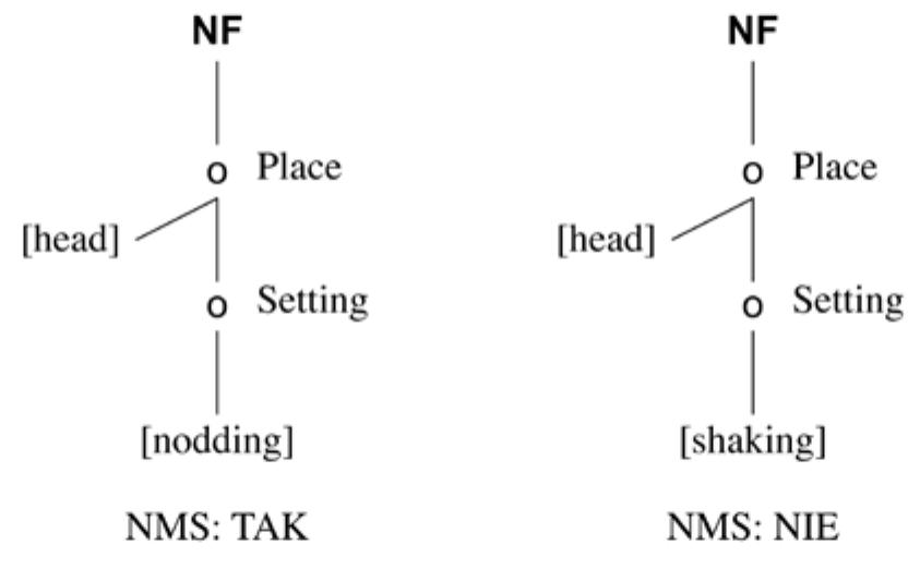 Hierarchical feature models of two non-manual signs in pjm