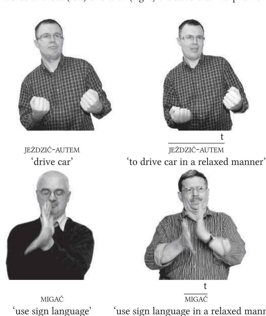 Figure 23 - Not by the Hands Alone: Functions of Non-Manual