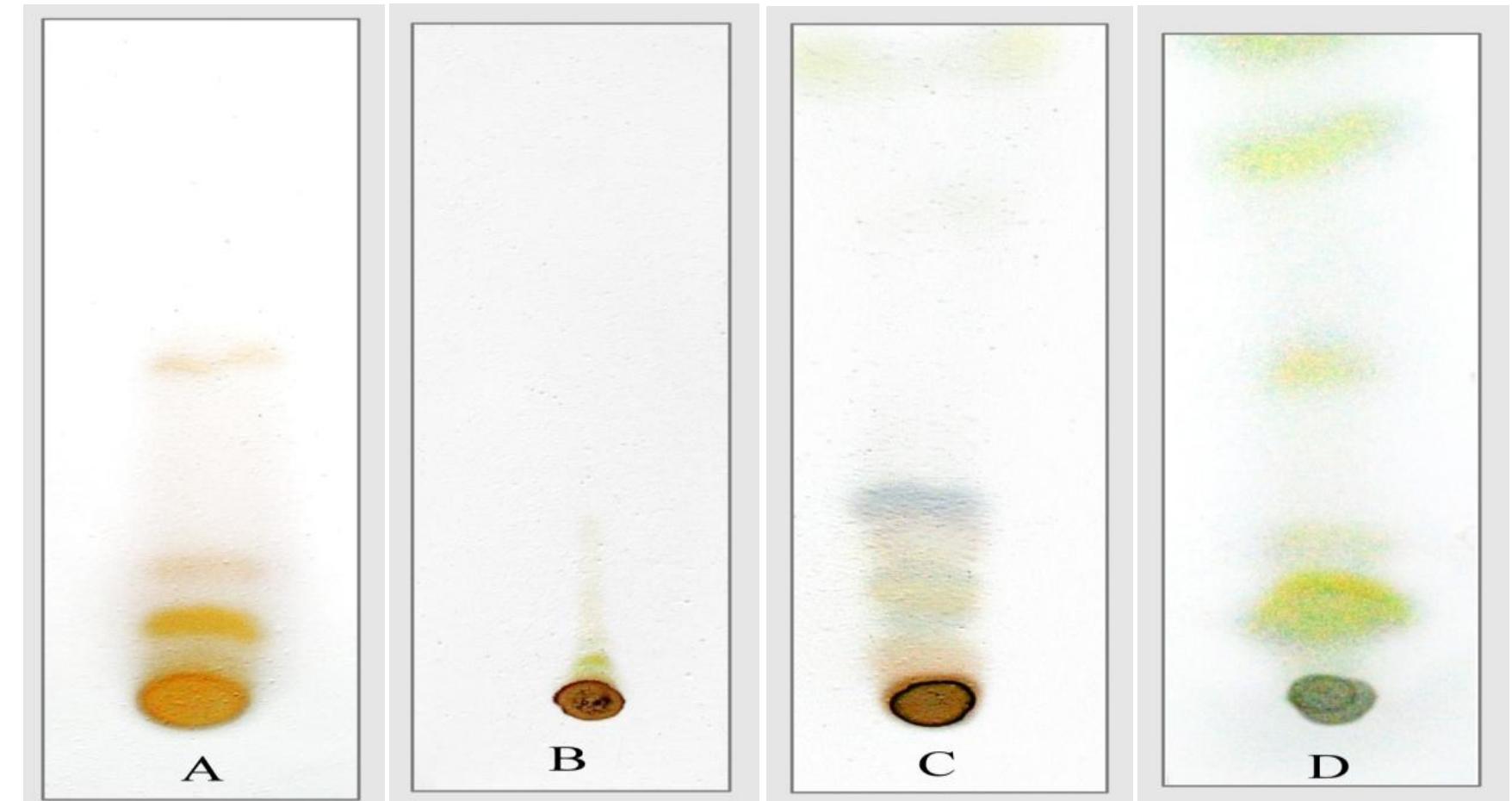 Tlc profiles of cajanus cajan seeds: a=ethanol extracts