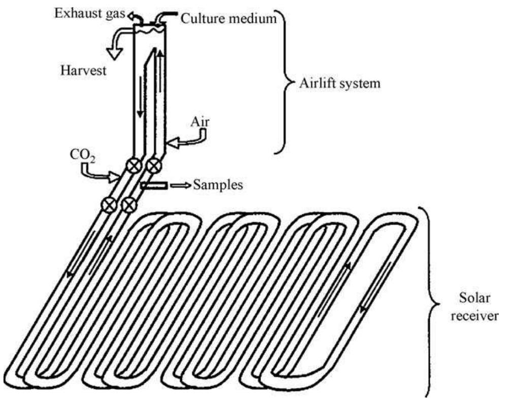 Figure 2 - from Biofuels from microalgae—A review of