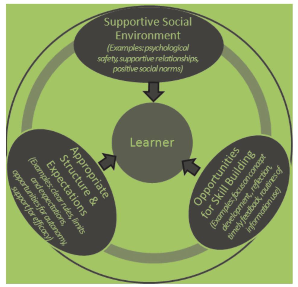 Elements of effective learning environments