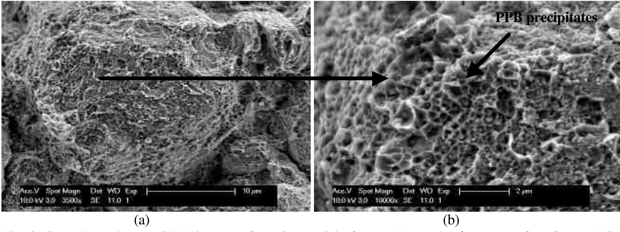 Men i aa 4 fig. 7. secondary electron sem images of fracture