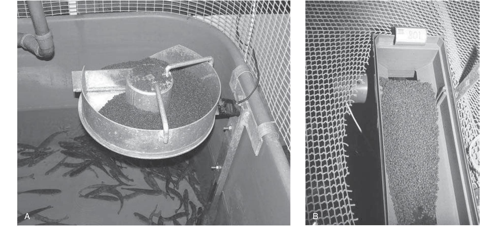 2 typical feed dispensers: (a) disc feeder and (b) conveyor