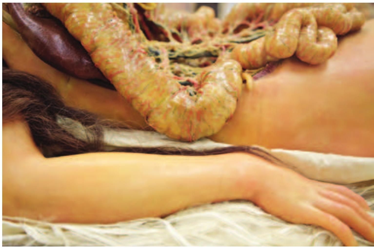 “the slashed beauty” with human hair and pearls in rosewood