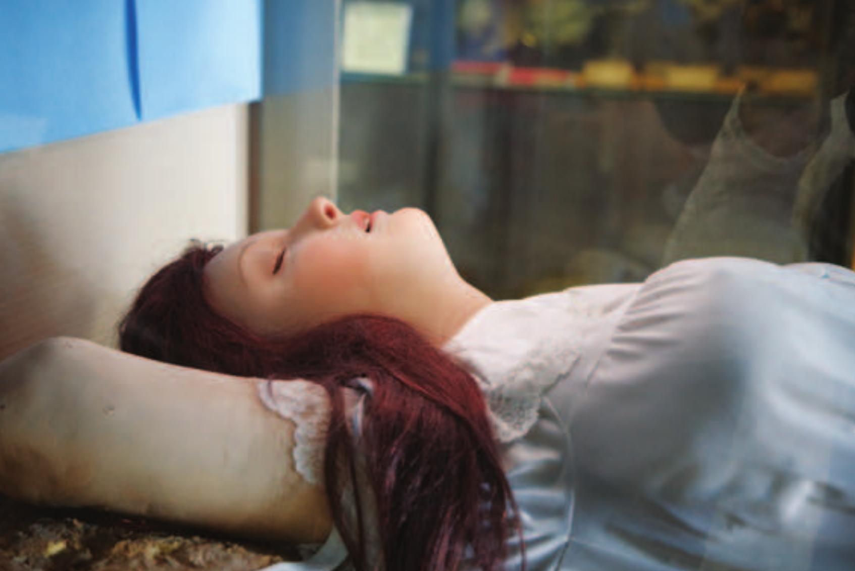 Venus endormie (breathing wax model), spitzner collection