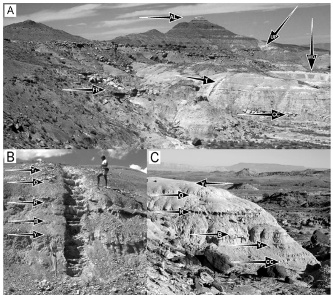 A. exposures of lower brushy basin member from just east of