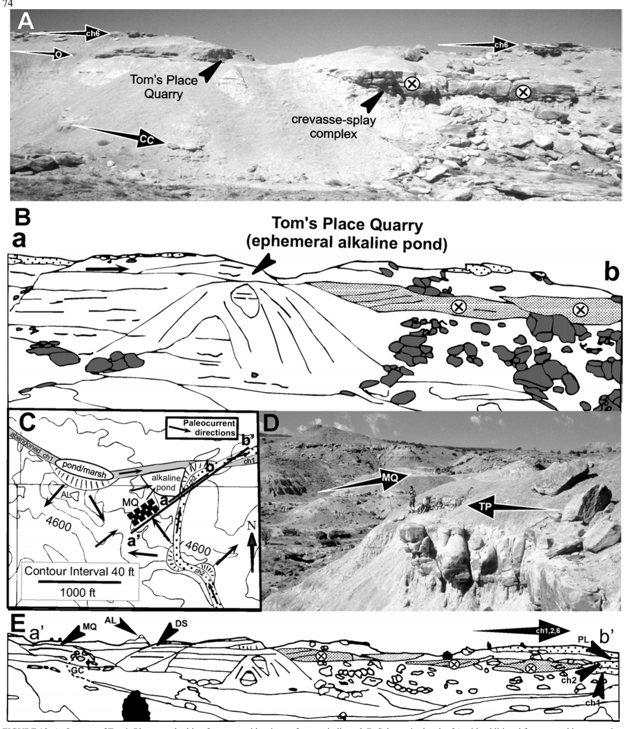 Figure 12 - The Upper Jurassic Morrison Formation: An