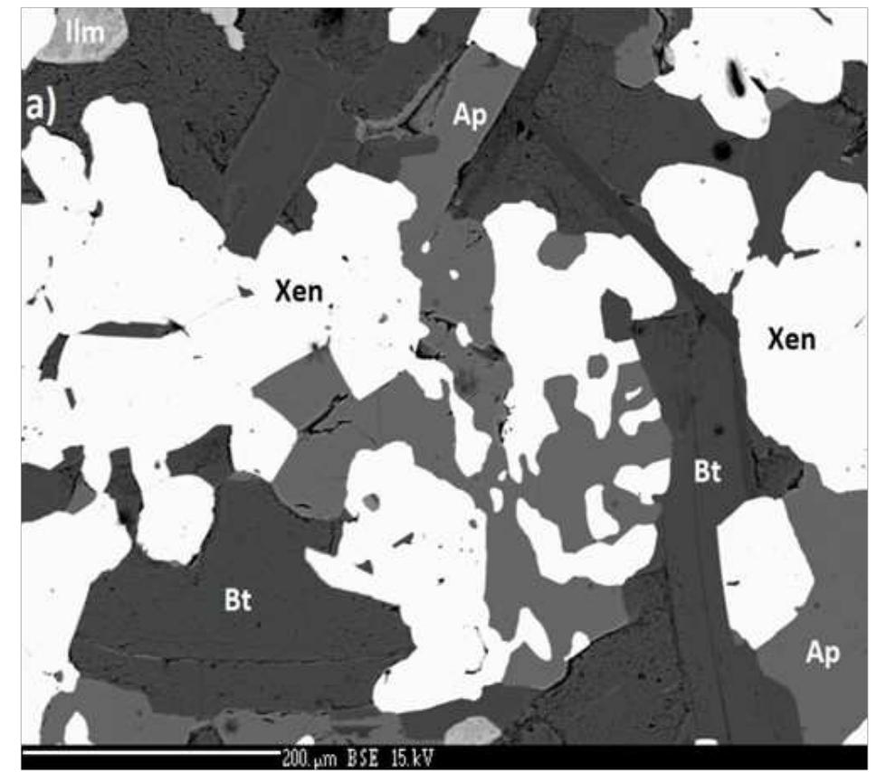 Bse images of xenotime observed in sem/ microprobe study. a: