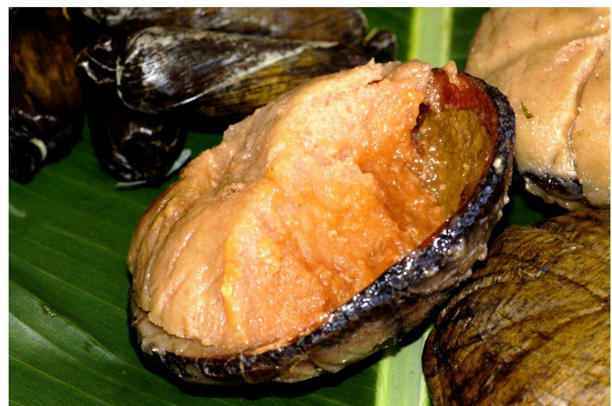 (PDF) The Waray Culture (Illustrations and Photos)