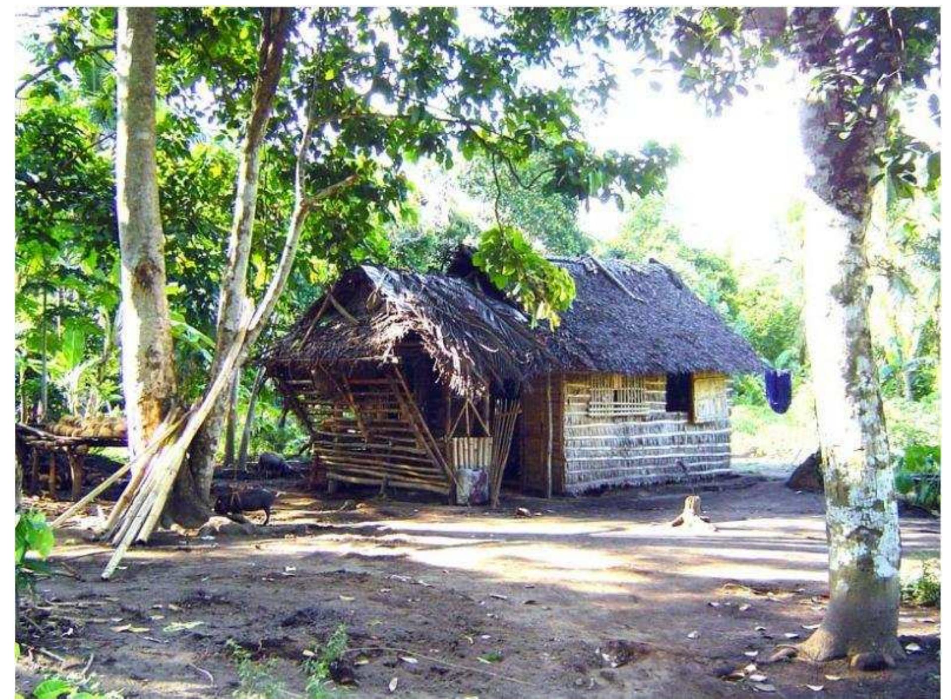 (PDF) The Waray Culture (Illustrations and Photos)