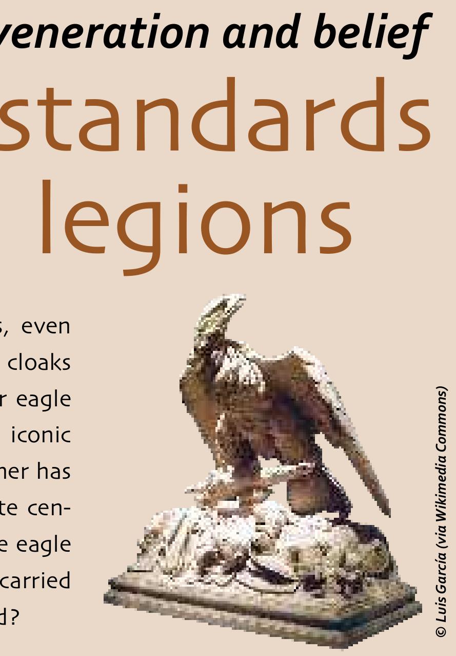 (PDF) The Military Standards of the Roman Legions: Symbolic objects of ...