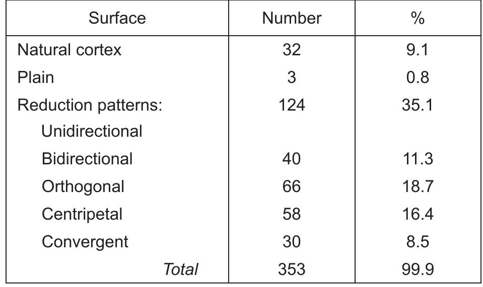 Types of spall dorsal surfaces within the luotuoshi lithic