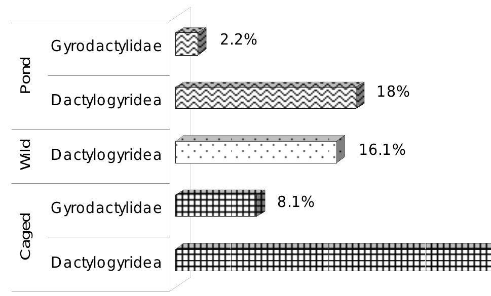 Monogeneans are direct life cycle ectoparasites and their