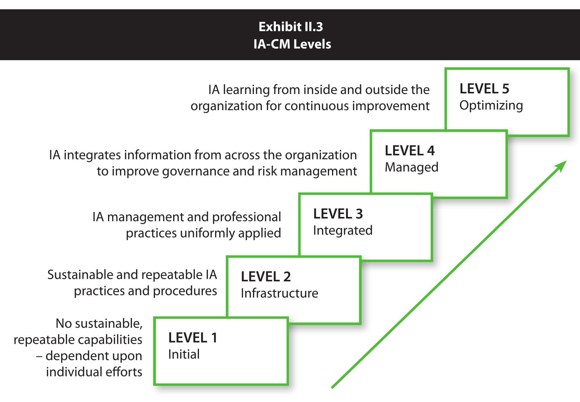 Figure 7 - The Institute of Internal Auditors Internal Audit
