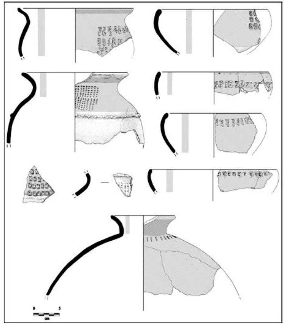 Examples of unit and comb stamped ceramics from las cuevas