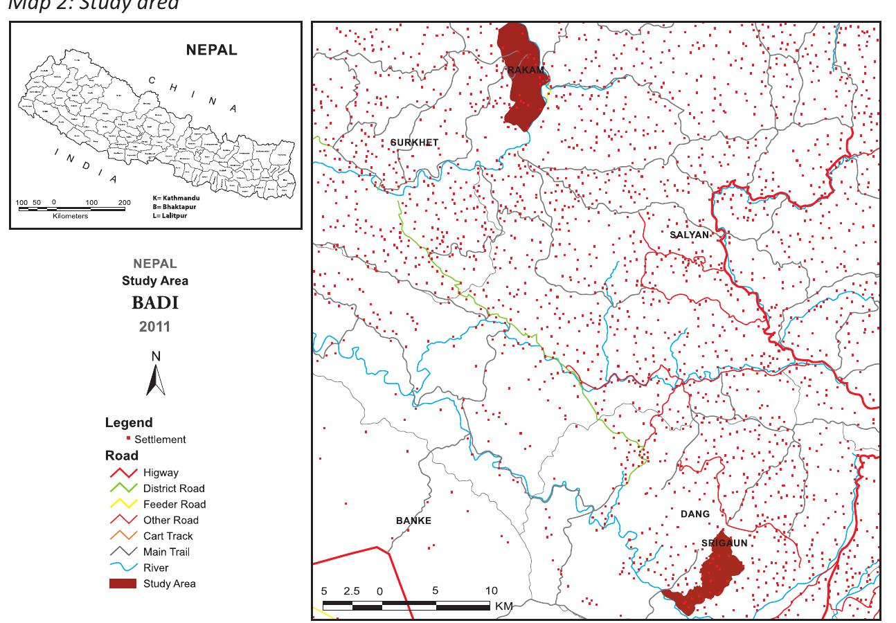 Figure 2 - Badi of Nepal
