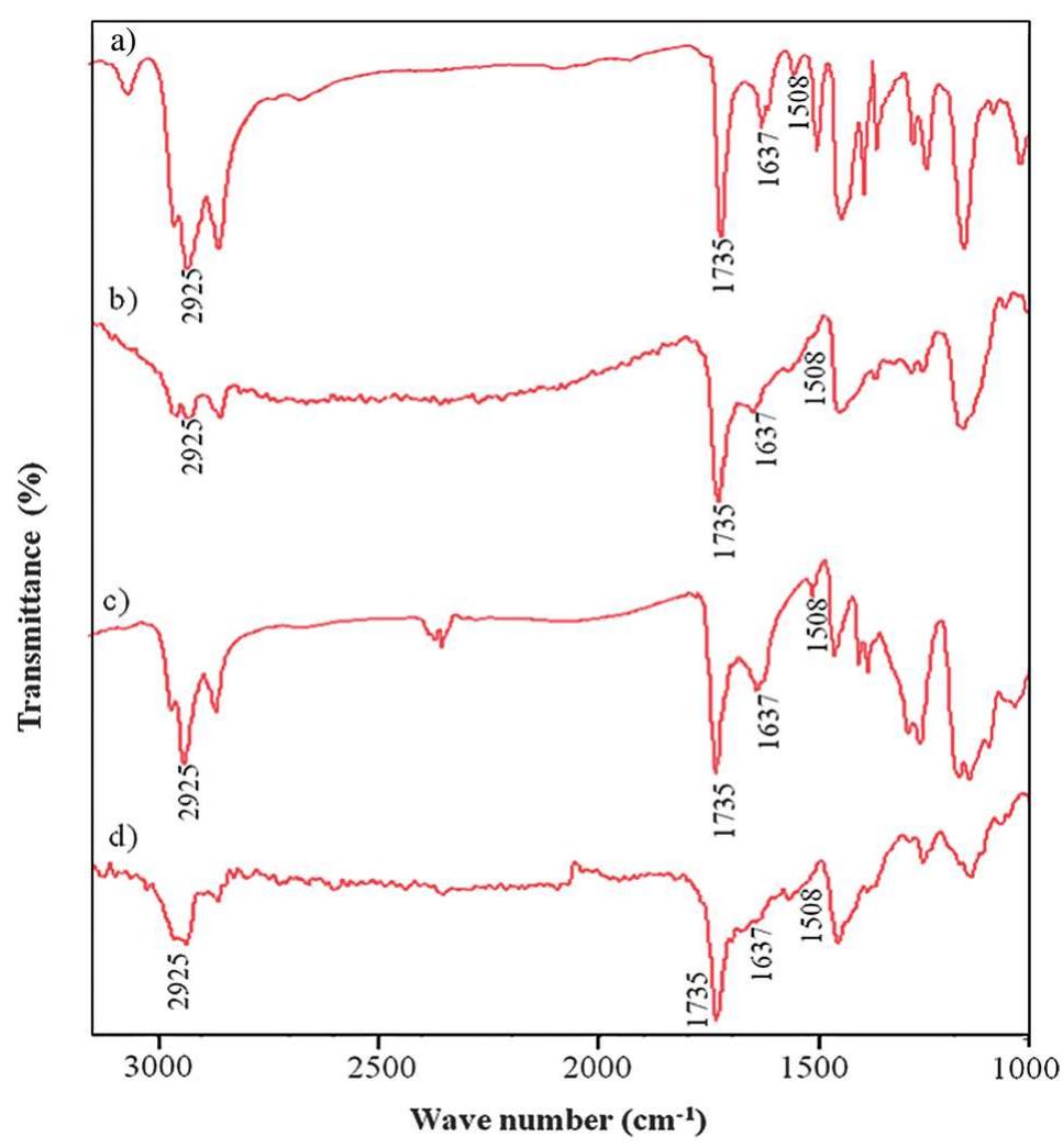 Atr-ftir spectra of (a) drop cast and (b) electrografted