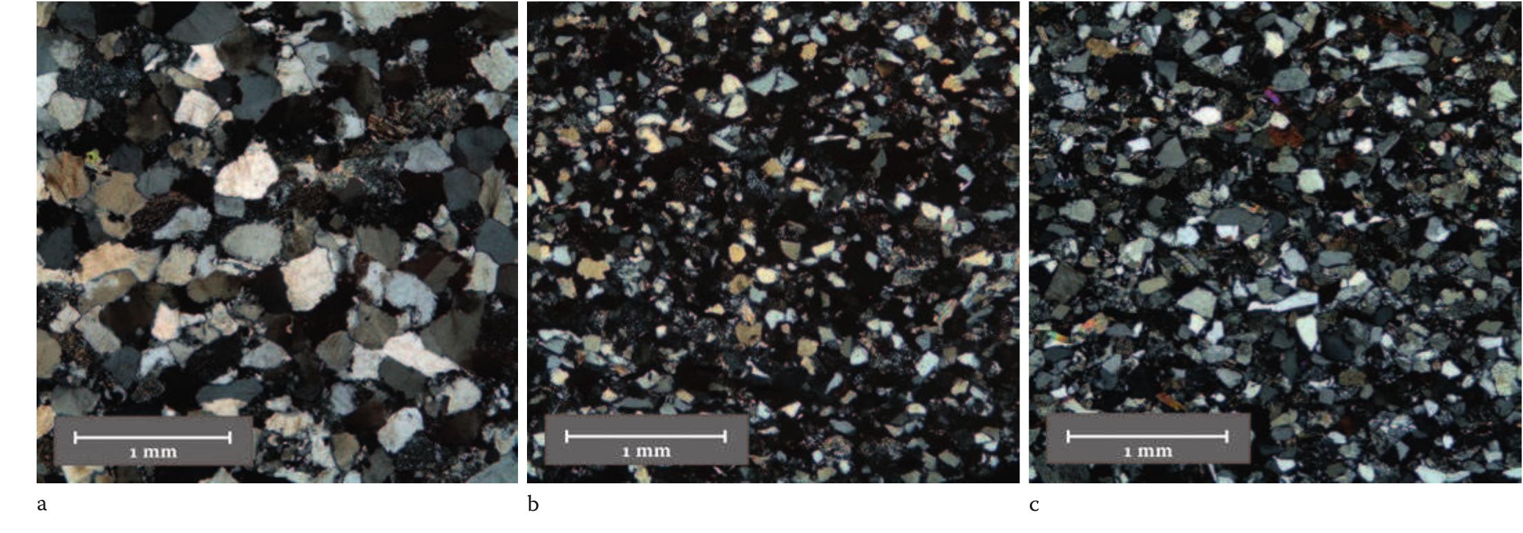 Micrographs Of The Three Main Identified Lithotypes