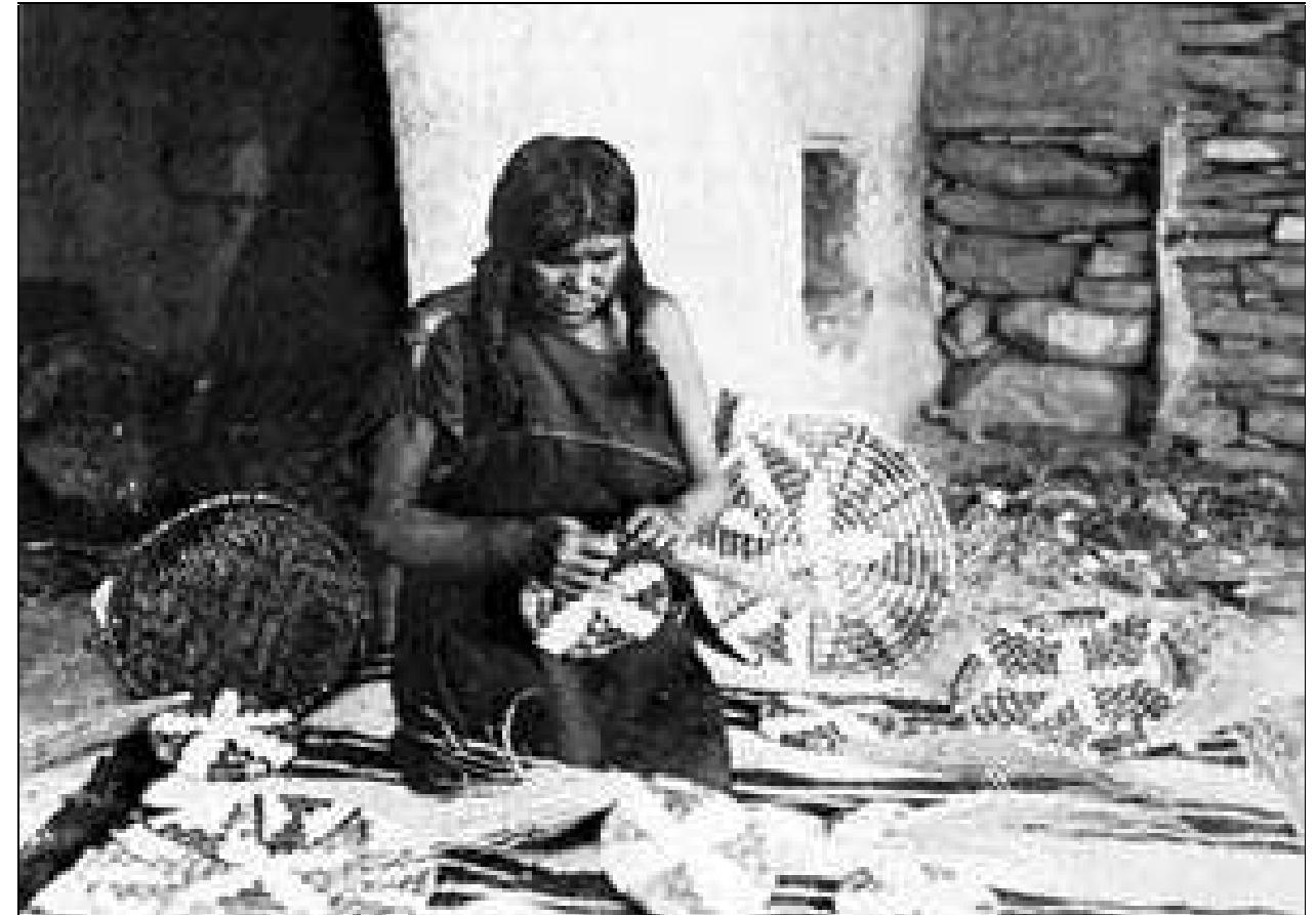 (PDF) Hopi “Flying Shields” Over Arizona