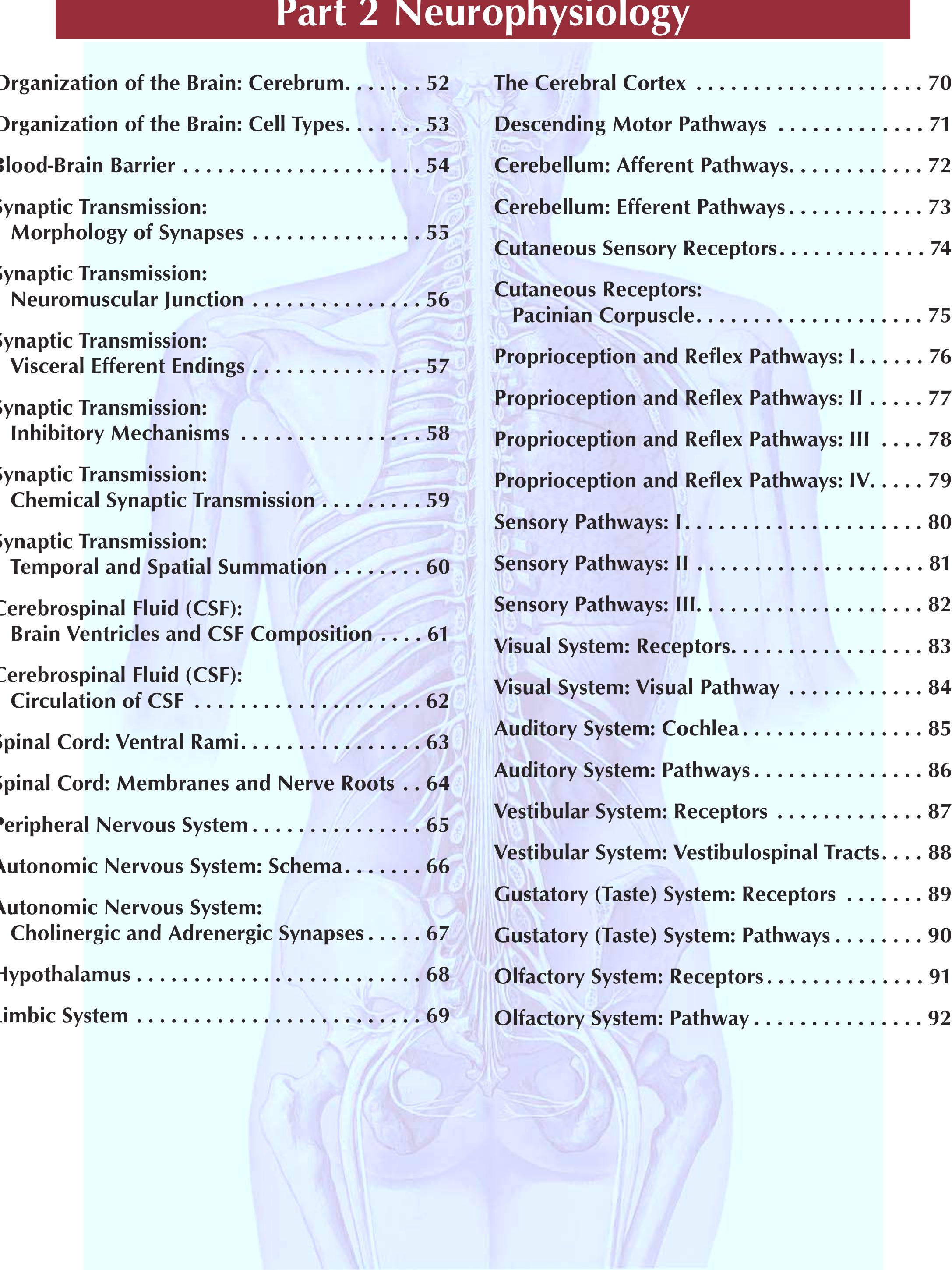 Figure 53 - Atlas of Neuroanatomy and Neurophysiology.