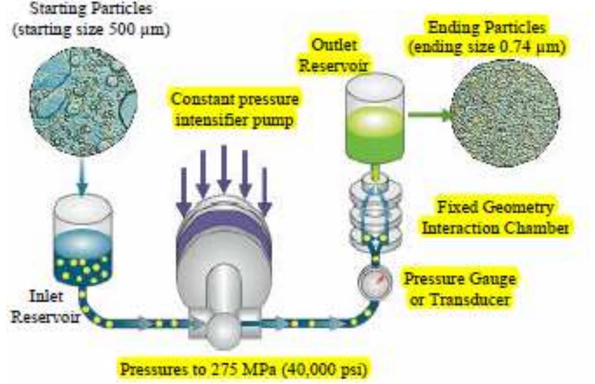 Schematic of the microfluidizer processor