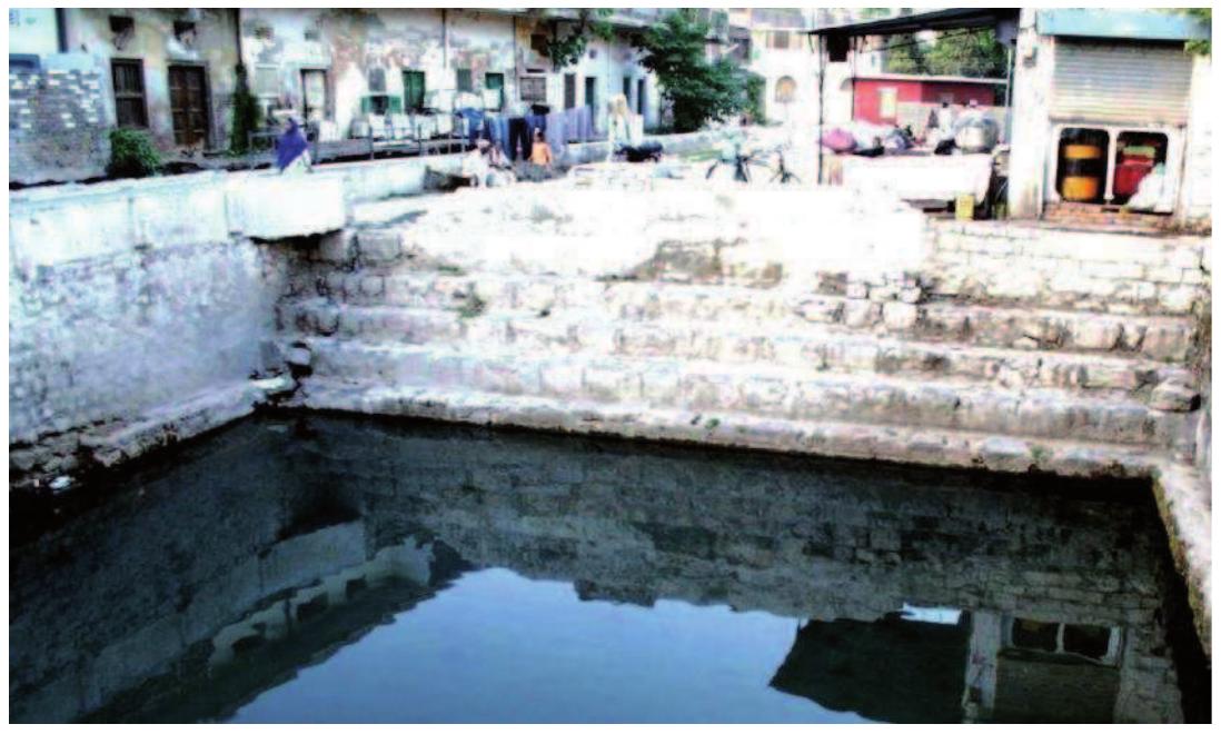 Have affected severely by this activity and it is evident in