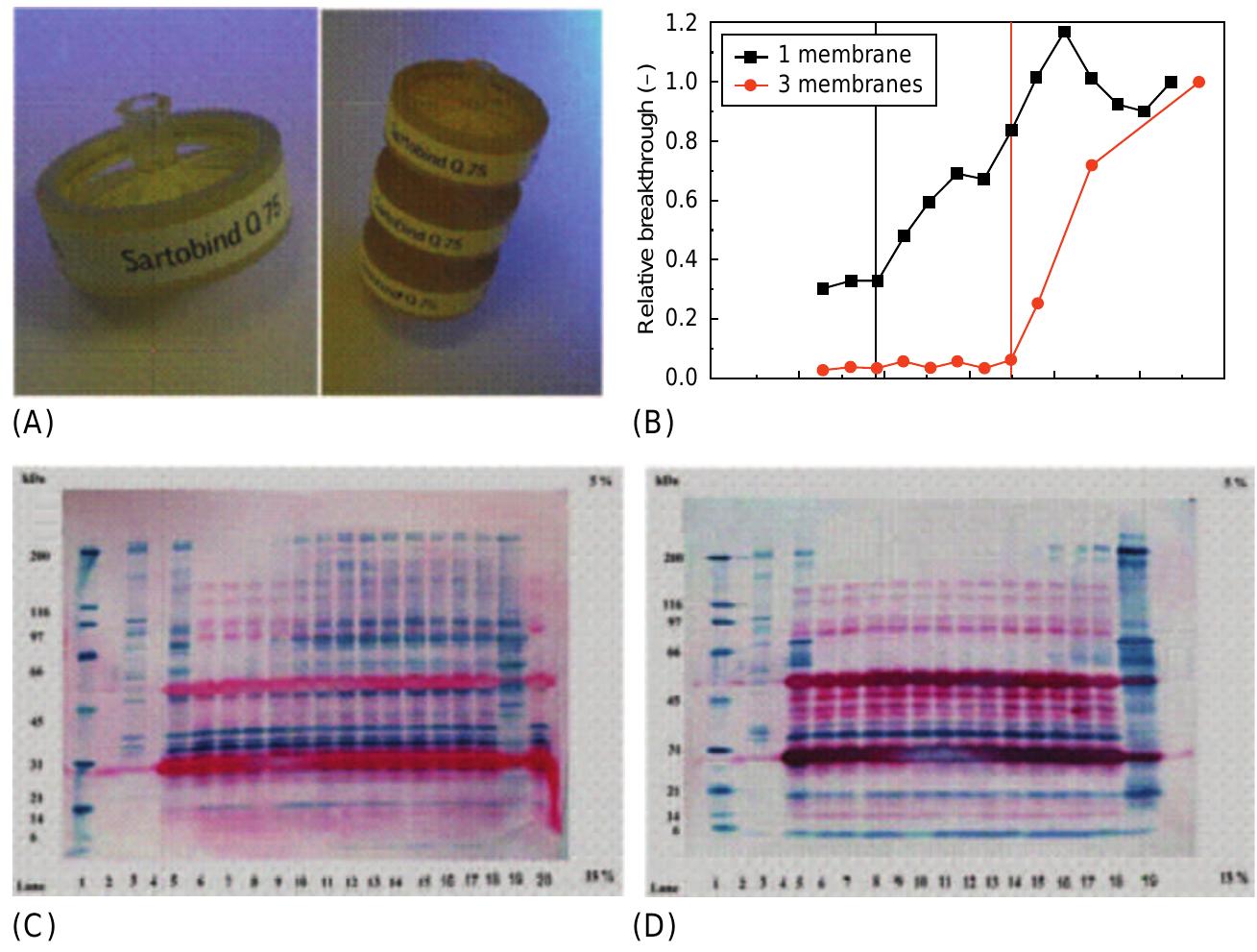 26 a picture of the membranes used, either 1, or 3 in series