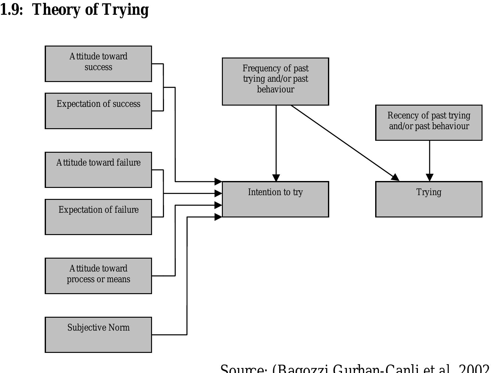 The model of goal directed behaviour
