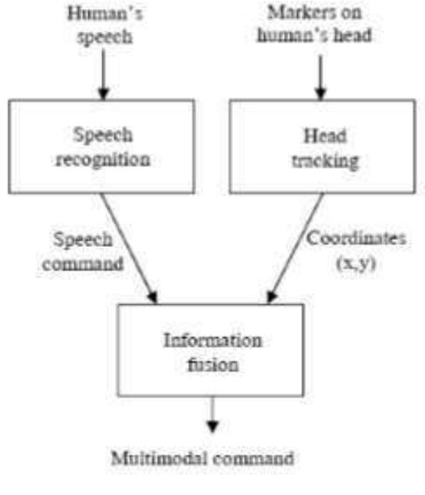 The head position indicates the coordinates of the cursor in