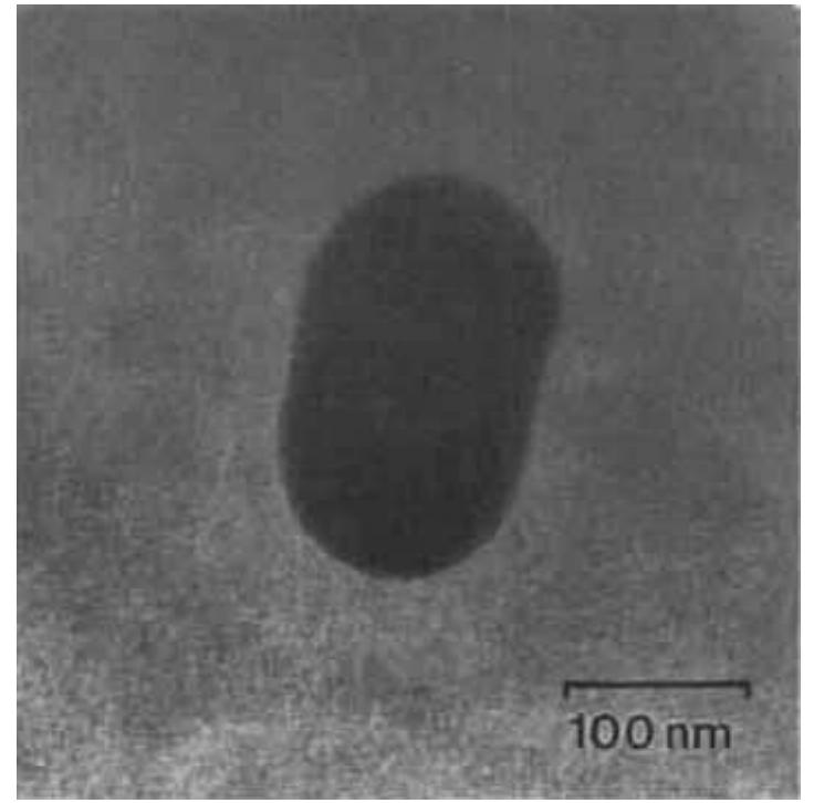 Which gave large ca ka and p ka x-ray peaks and a small fe
