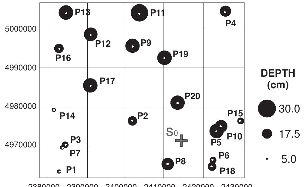 Observed points (20) and values of target variable (depth);