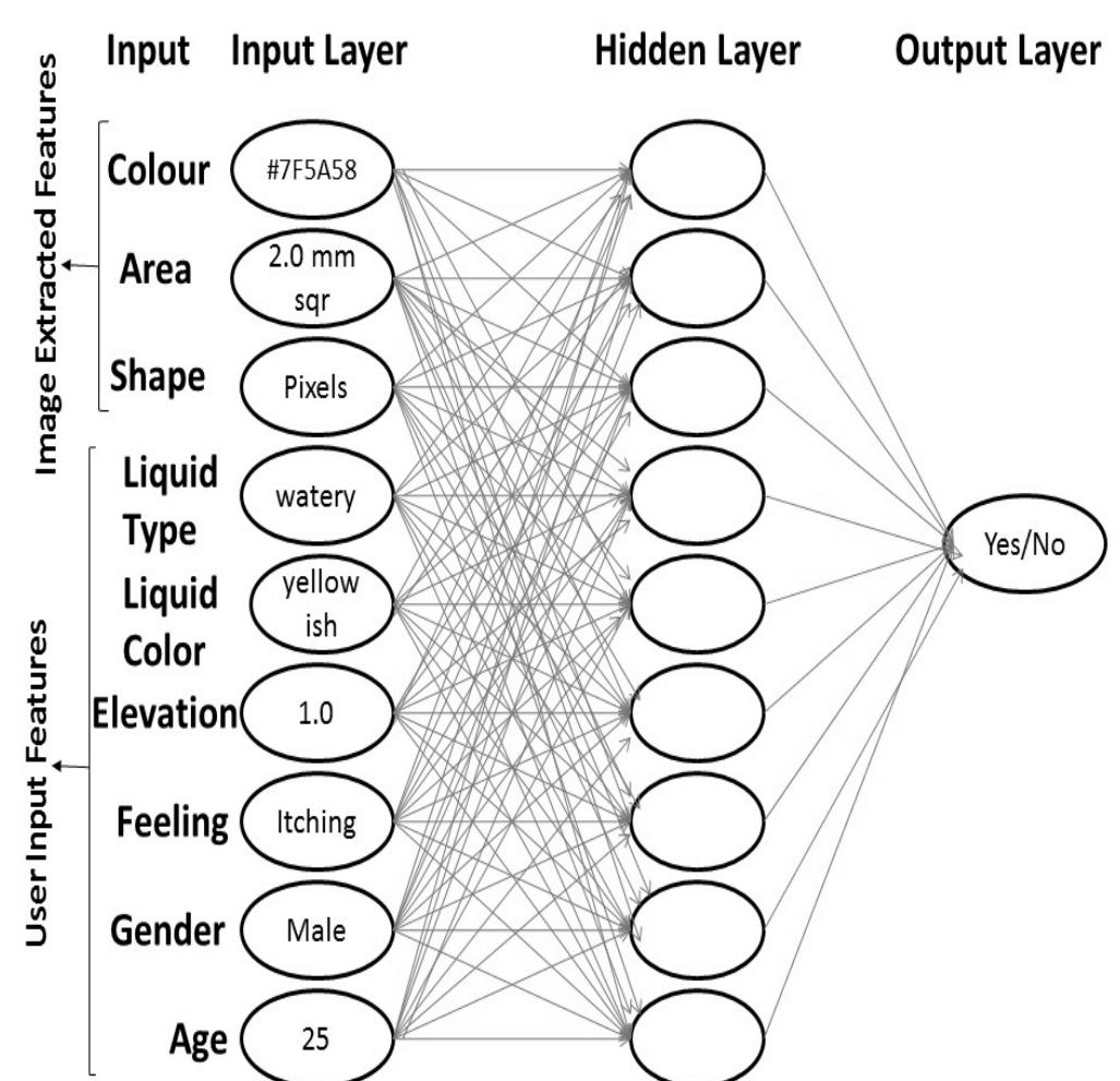 Feed forward back propagation artificial neural network