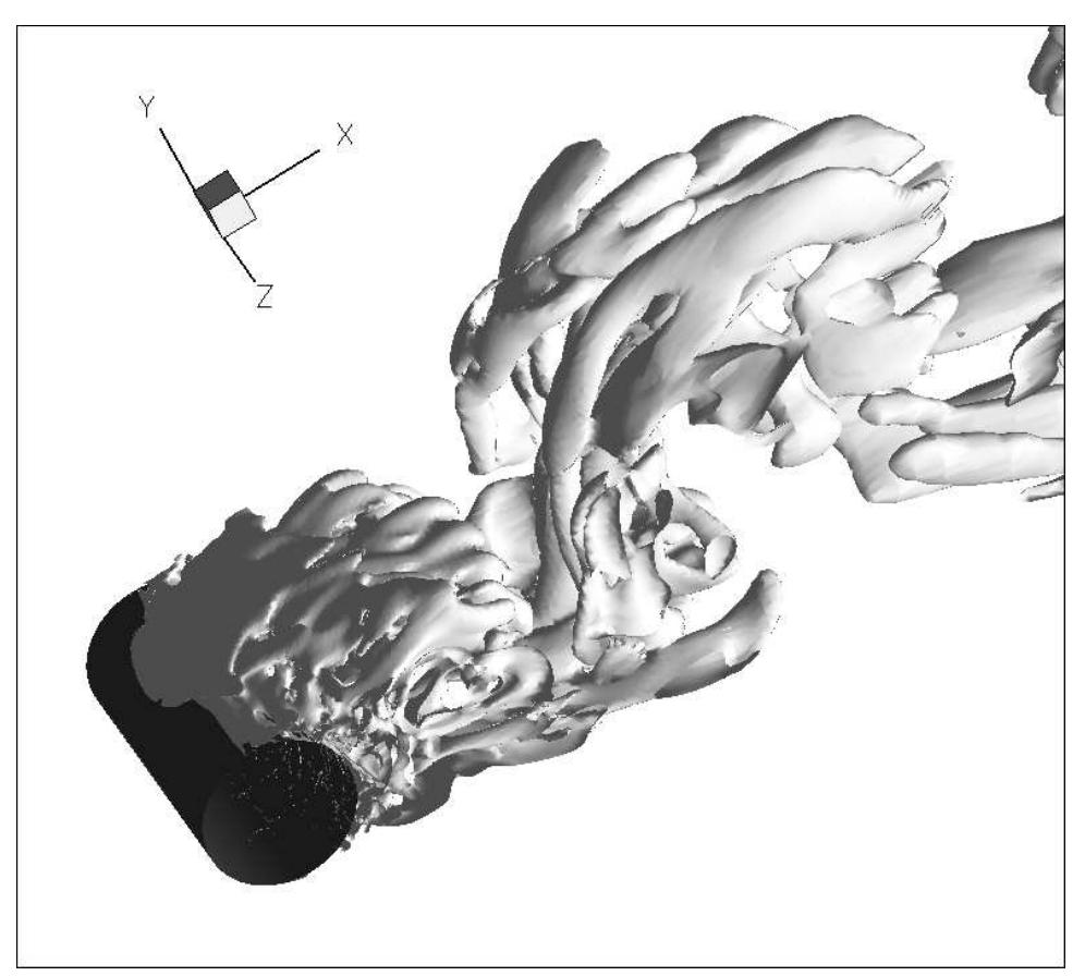 Des past a circular cylinder: visualization of vortical