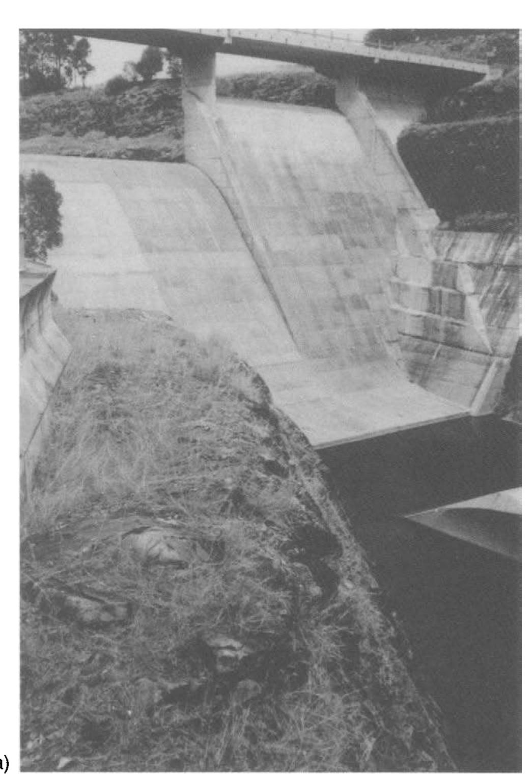(PDF) Design of weirs and spillways