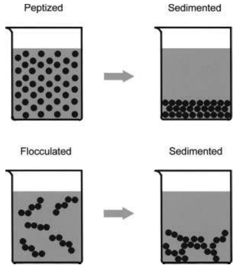 19 illustration of sedimentation in a peptized (upper)