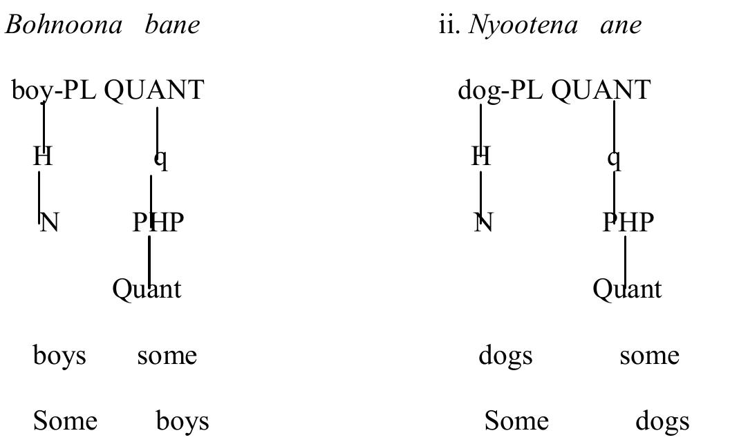 From the examples above, ‘bane’ occurs with ‘bohnoona’, a