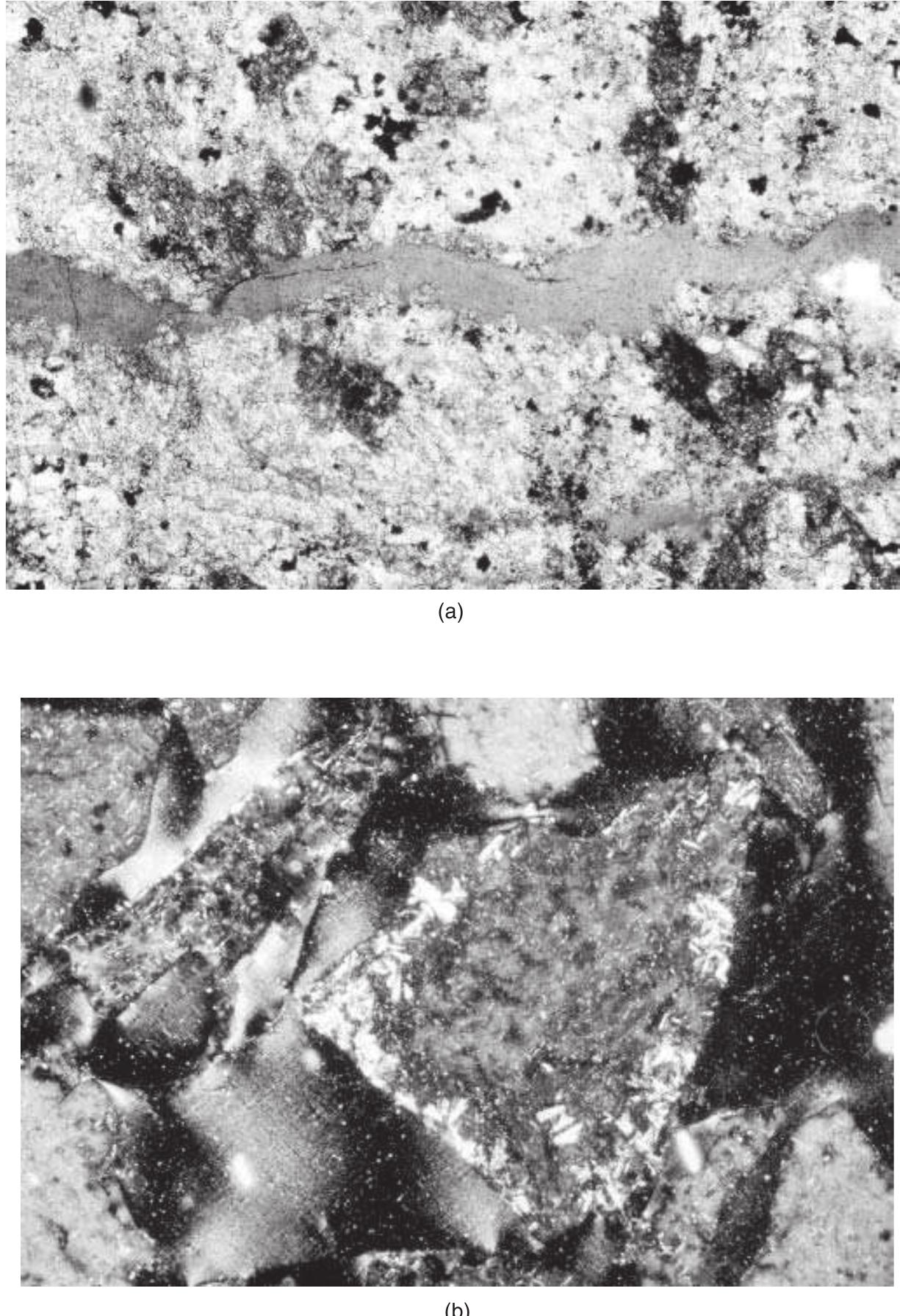 5 some reactive forms of silica under the microscope: (a)