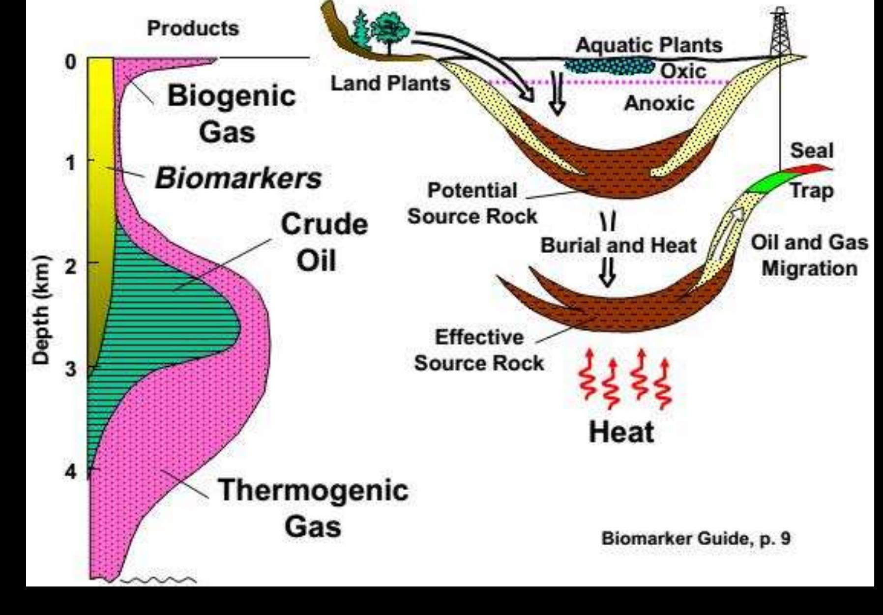 Inder anoxic or suboxic water (less than ~0.2 ml oxygen/i