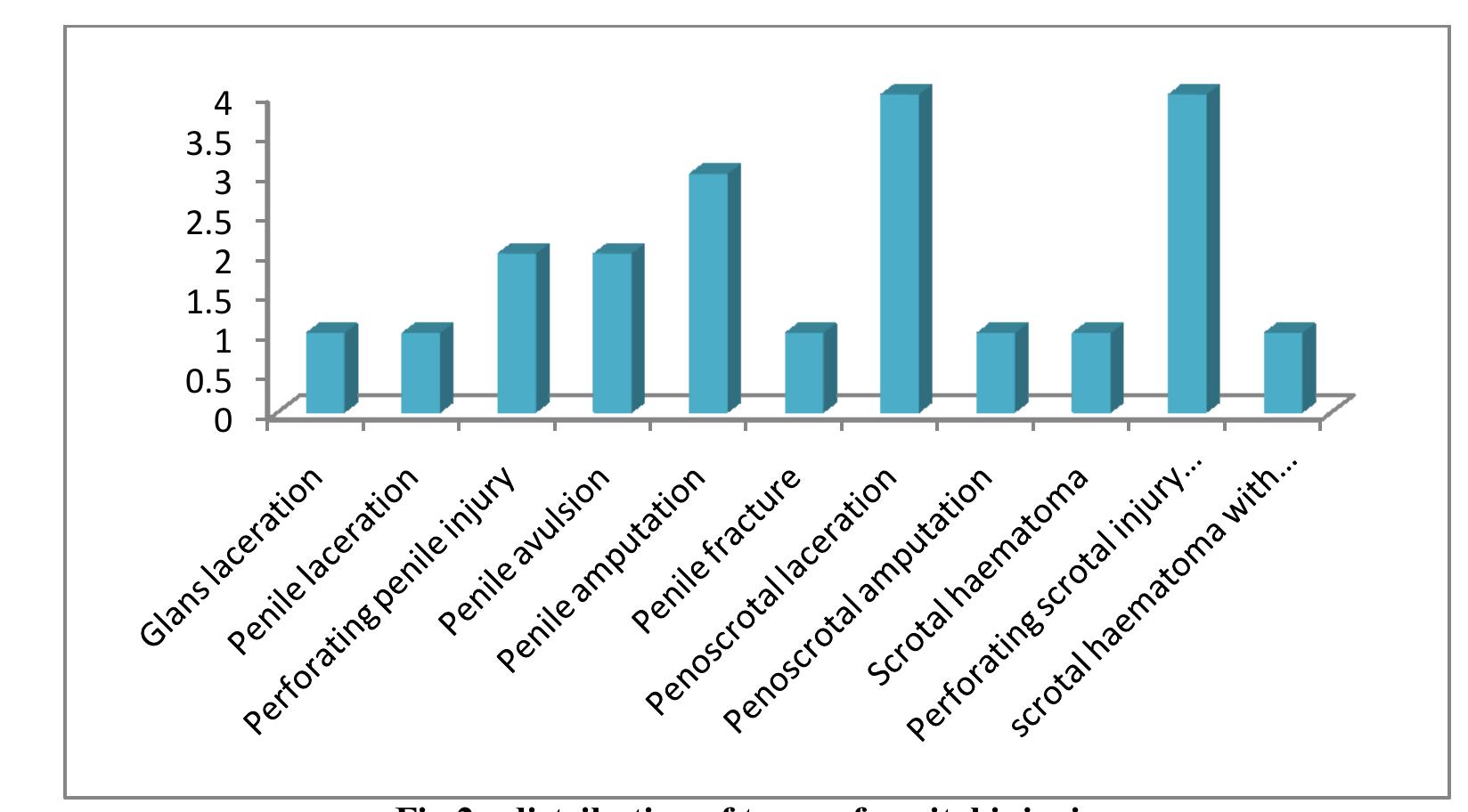 Male external genital injuries; pattern of presentationand